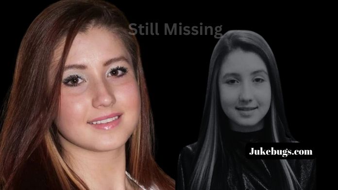 How Did Heather Elvis Disappear And Was She Ever Found?